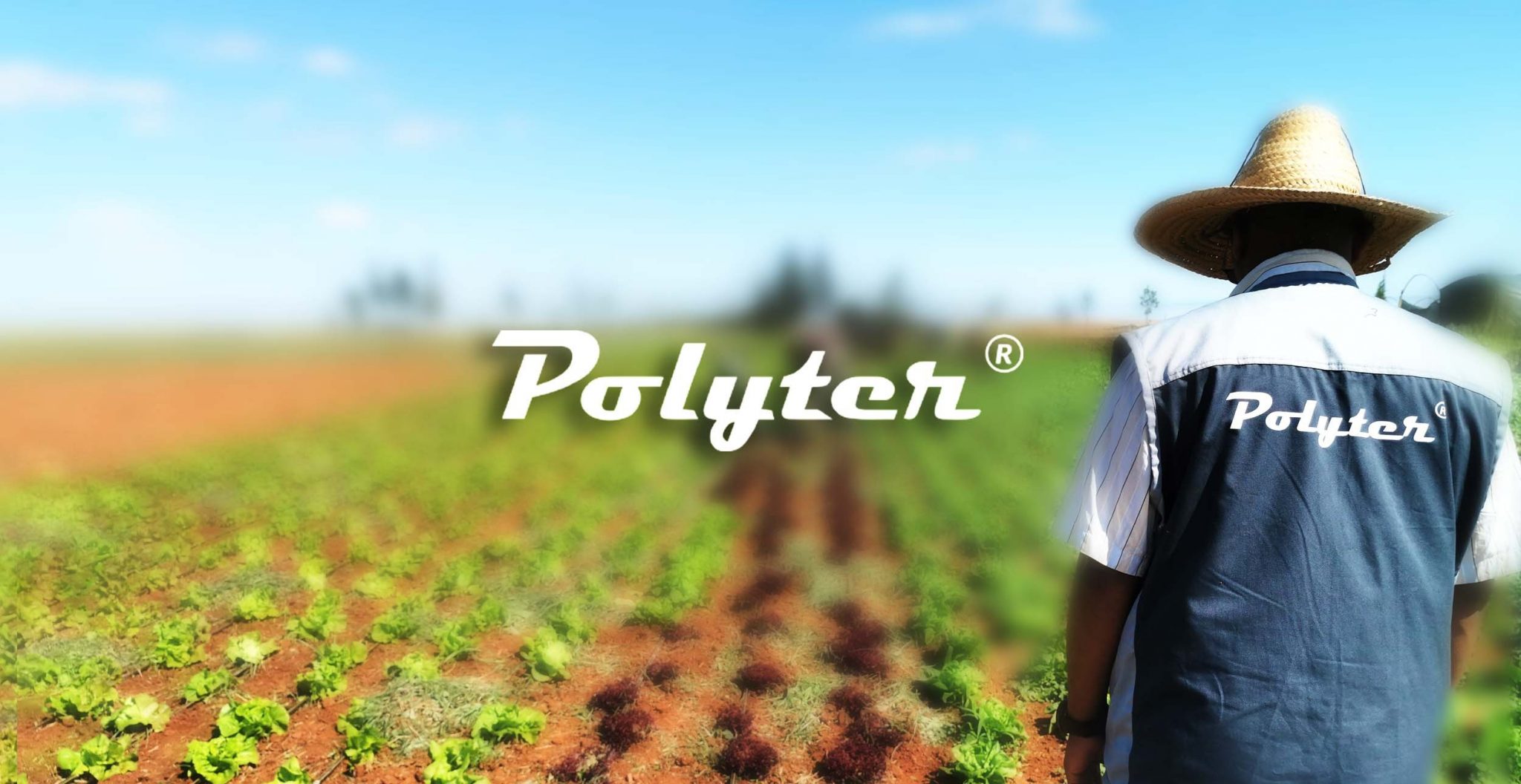 Agriculture: "Le Polyter, un intrant agricole révolutionnaire pour le ...