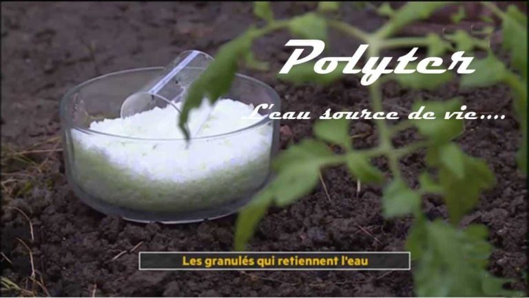 Agriculture: “Le Polyter, un hydro-rétenteur fertilisant”