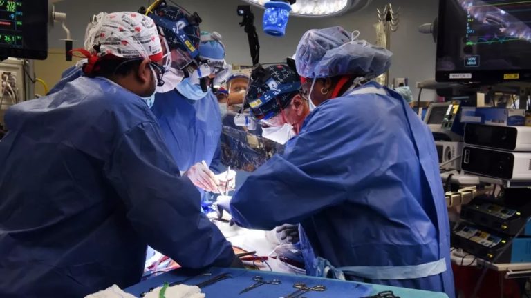 Médecine : Transplantation cardiaque réussie du porc à un humain