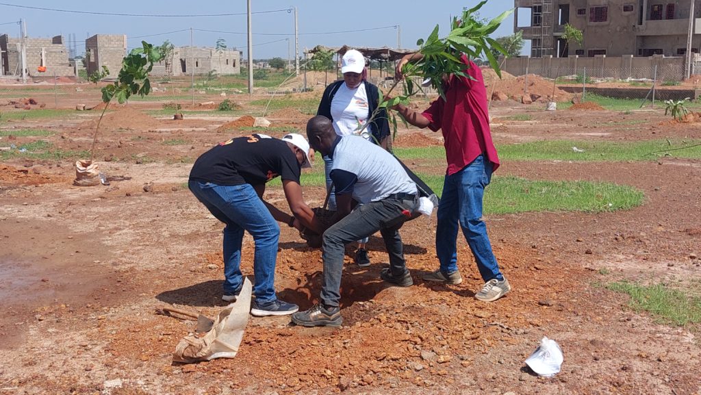 Kouba : La Ville Nouvelle de Yennenga de CGE Immobilier se reverdit au ...