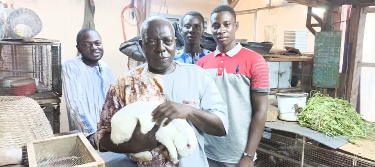 Cuniculture : Le lapin pour révolutionner l’élevage au Burkina Faso
